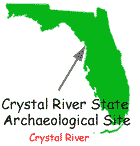 Crystal River State Park | Crystal River, Florida