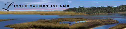Little Talbot Island State Park