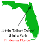 Little Talbot Island State Park